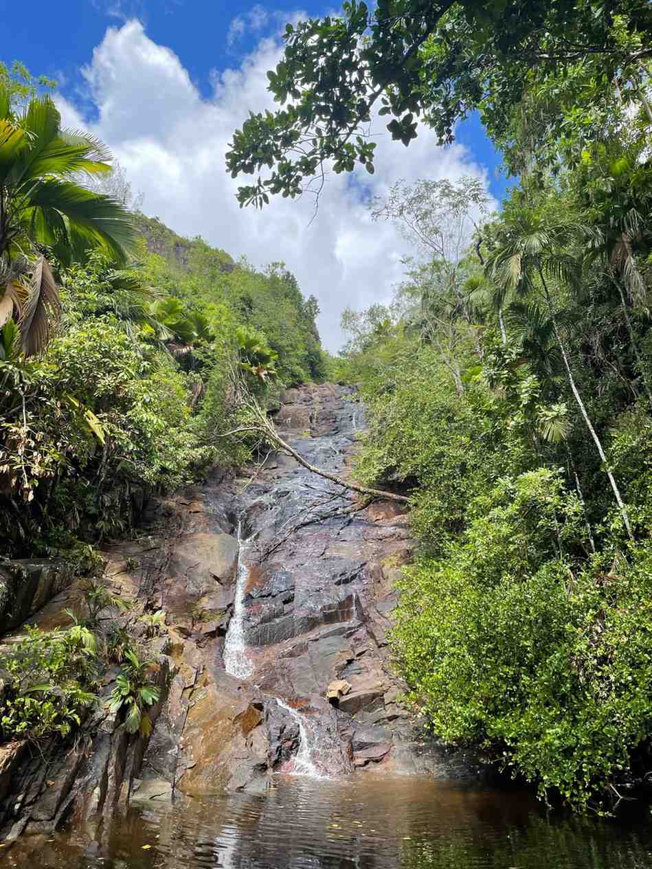 Exploring Sauzier Waterfall On Mahé (Seychelles)