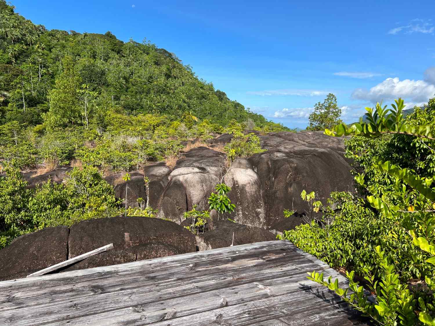 Exploring The Glacis La Reserve Trail (Mahé, Seychelles)